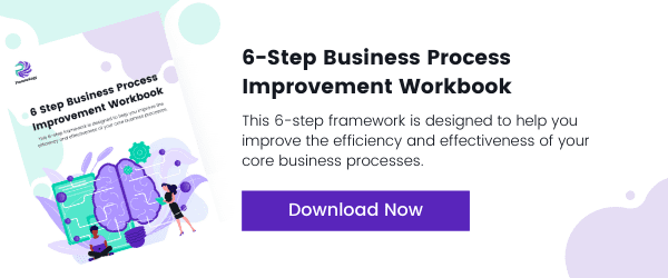 6 Step Business Process Improvement Workbook